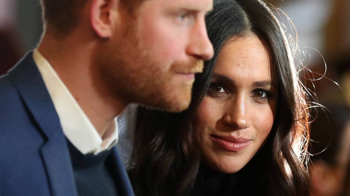 Andrew Pierce rows with professor who claims Meghan and Harry are ...