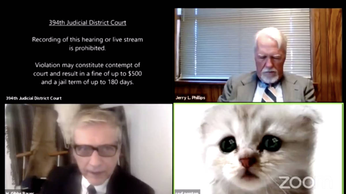 'I'm not a cat': Lawyer reassures judge he isn't a kitten after Zoom ...
