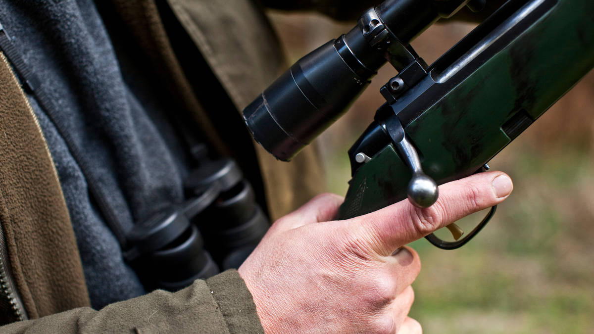 Over 110,000 UK gun owners' details leaked by animal rights activists | LBC