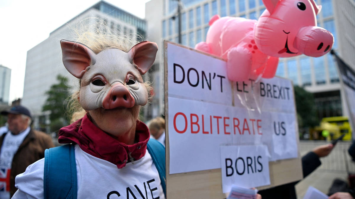 ‘Don’t let Brexit obliterate us’: Pig farmers protest at Tory ...