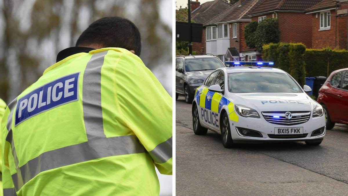 'Woke' police force recruits 'get sick when blue lights are on and ...