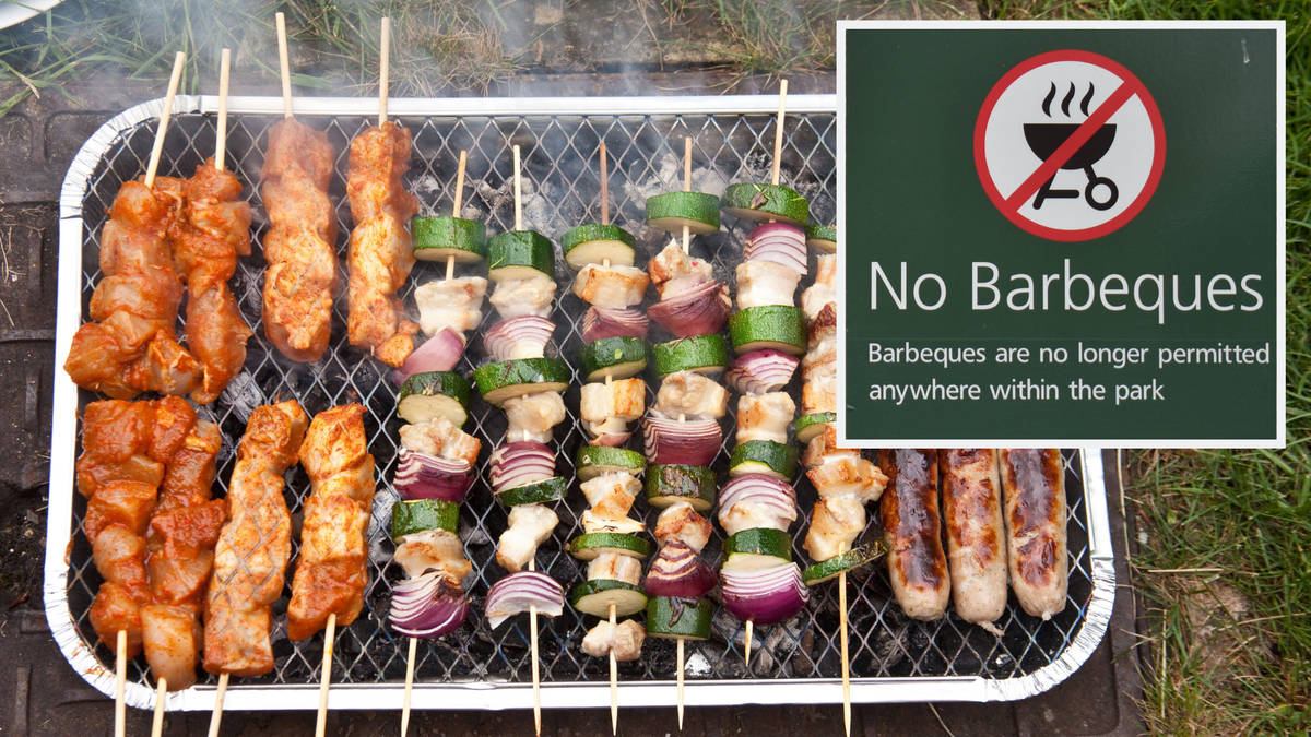Brits face disposable BBQ ban this summer as Government cracks down on ...