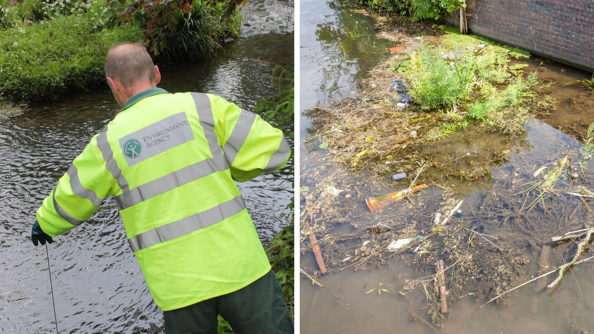Jail water firm bosses for 'appalling' pollution levels, Environment ...