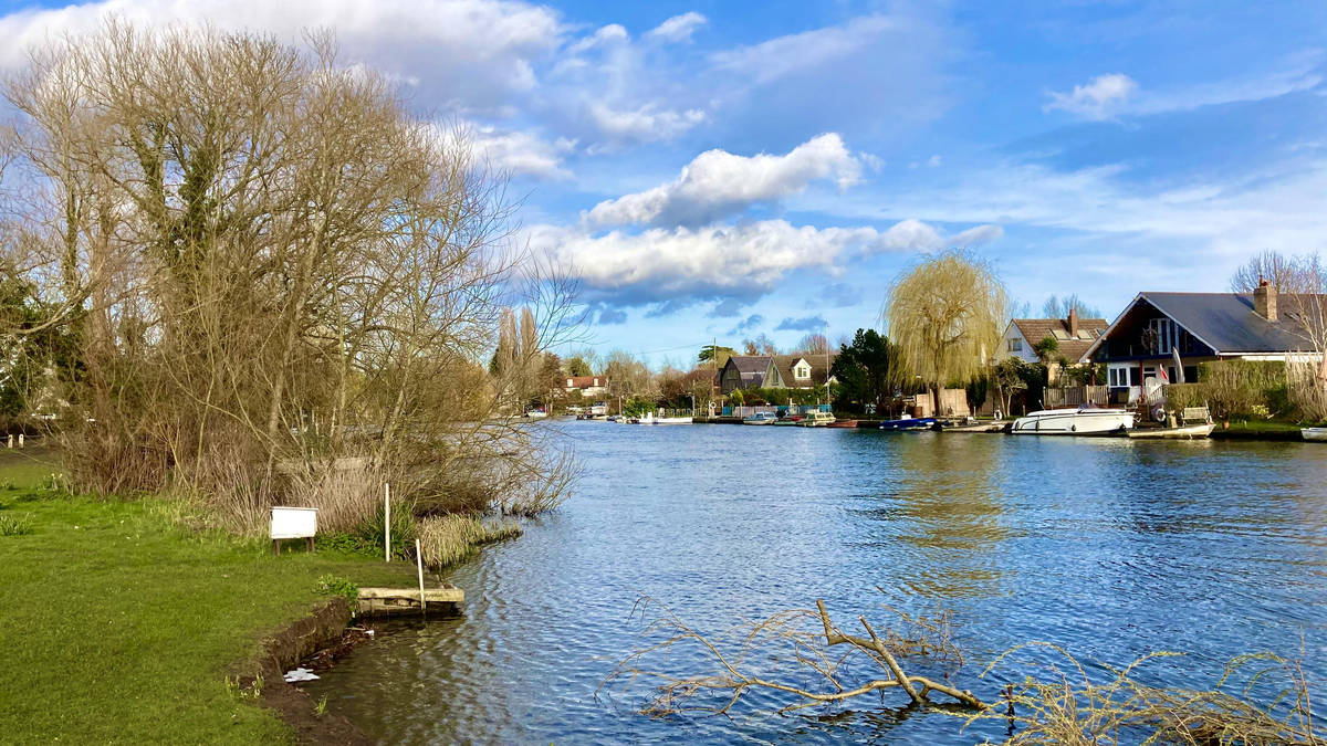 Body pulled from River Thames in search for man who disappeared under ...