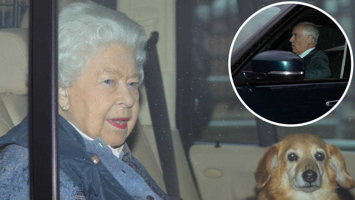 Prince Andrew and Sarah Ferguson to take care of Queen's beloved corgis | LBC