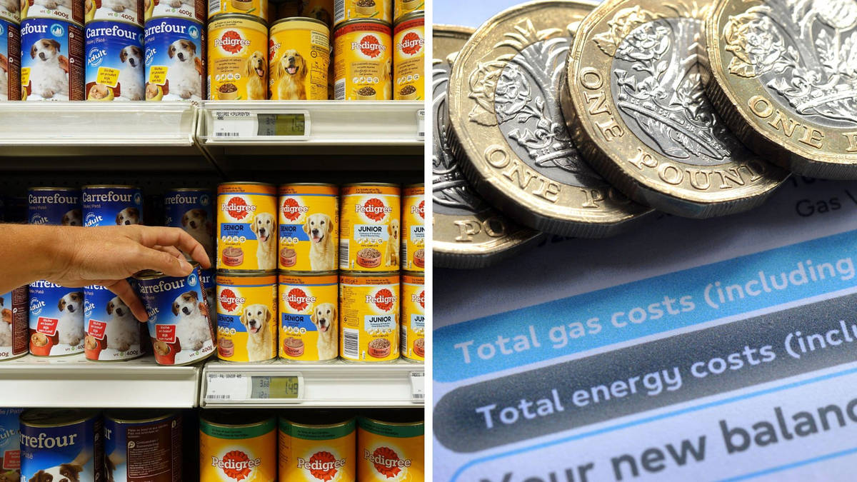 People 'eating pet food' and 'heating meals on radiators and candles ...