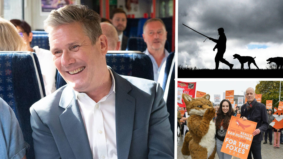 Labour vows to strengthen Hunting Act | LBC