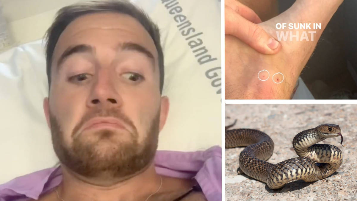 Brit tourist rushed to hospital after being bitten by extremely ...