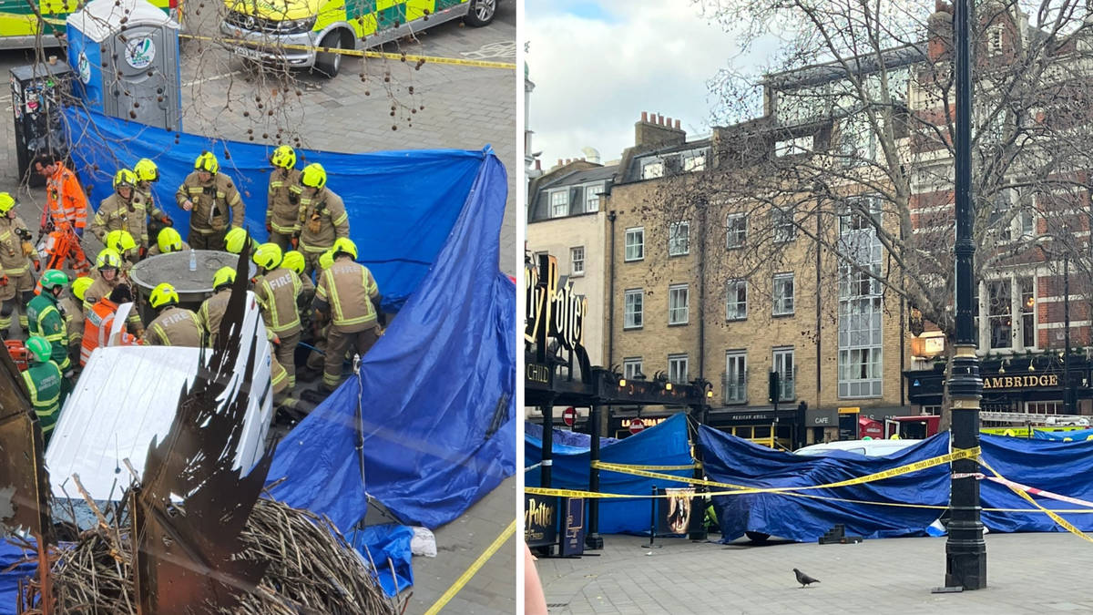 Workman crushed to death by ‘telescopic urinal’ in horrific accident in central London yards ...