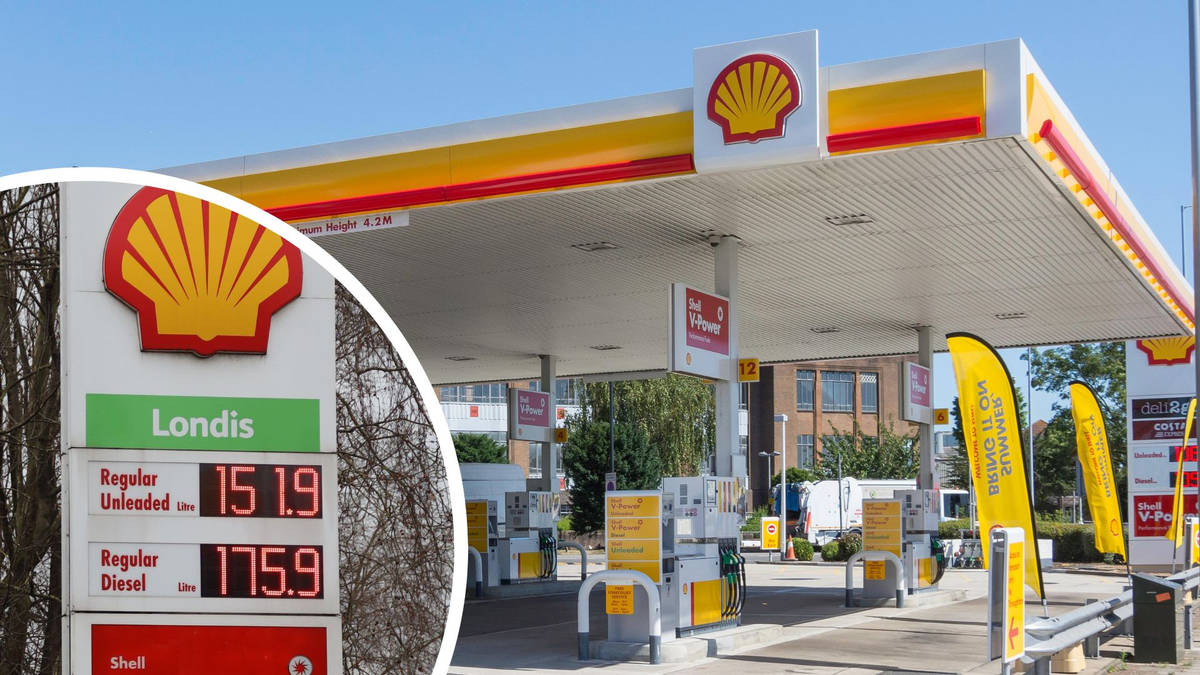 Shell posts record profits of £32.2bn after oil prices surge in wake of ...