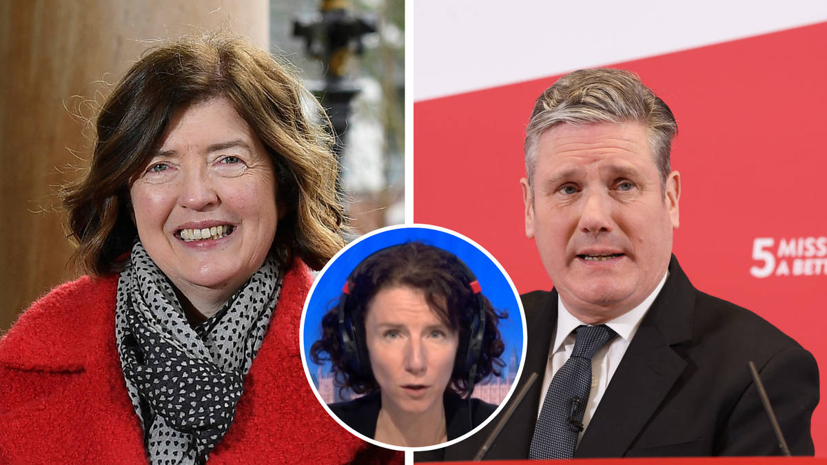 'Great integrity': Labour defends appointment of ‘highly respected ...