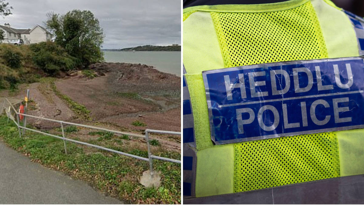 Hunt for female dog owner after man is left with 'significant injuries ...