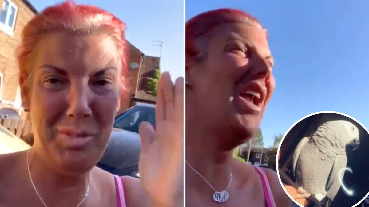 Woman who went viral for shouting 'Chanel!' after losing pet parrot ...