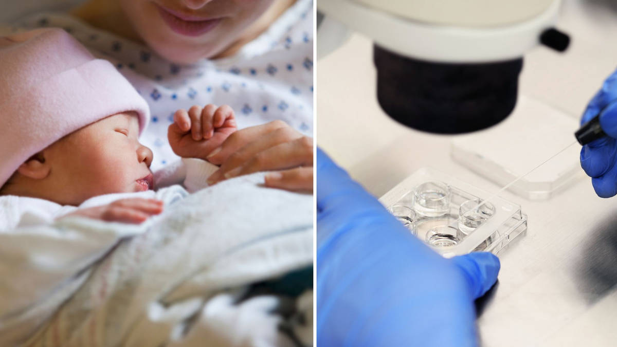 First 'three-parent-baby' born in the UK after IVF procedure developed ...