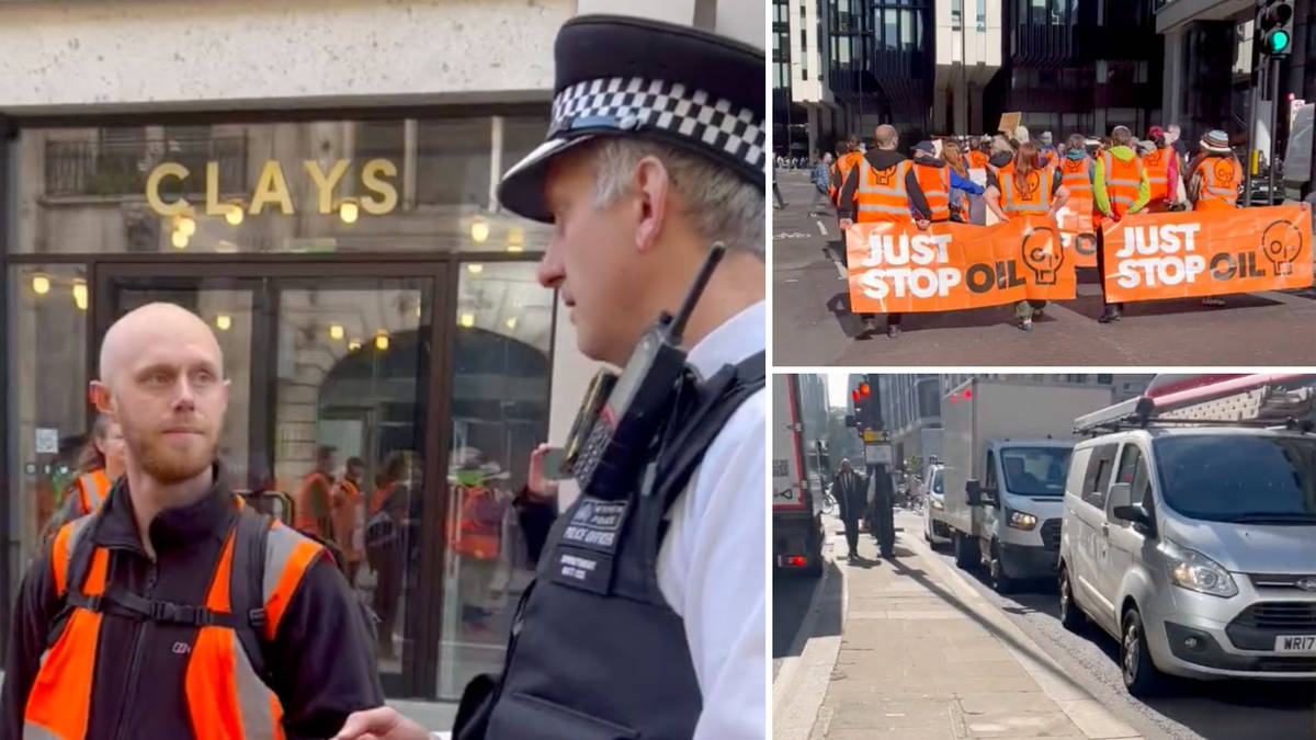 Just Stop Oil activist compares group's actions to the Suffragettes as ...