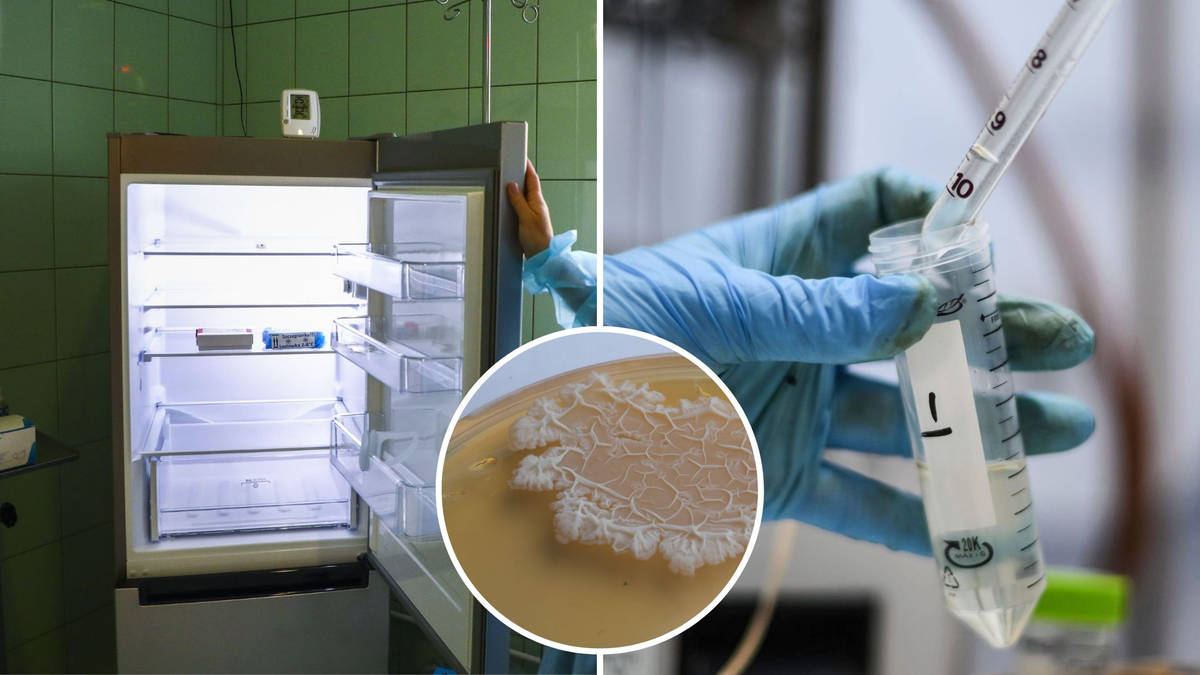 Cleaner destroys 25 years of 'groundbreaking' research by turning off ...