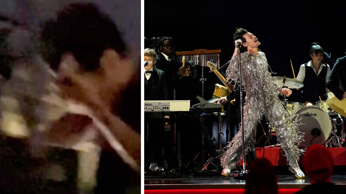 Harry Styles hit in face with object thrown from crowd during Vienna ...