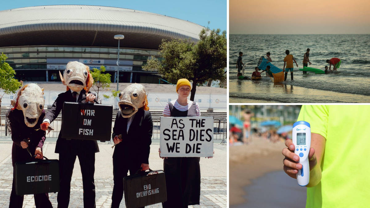 World's oceans hit highest ever recorded temperatures as climate ...