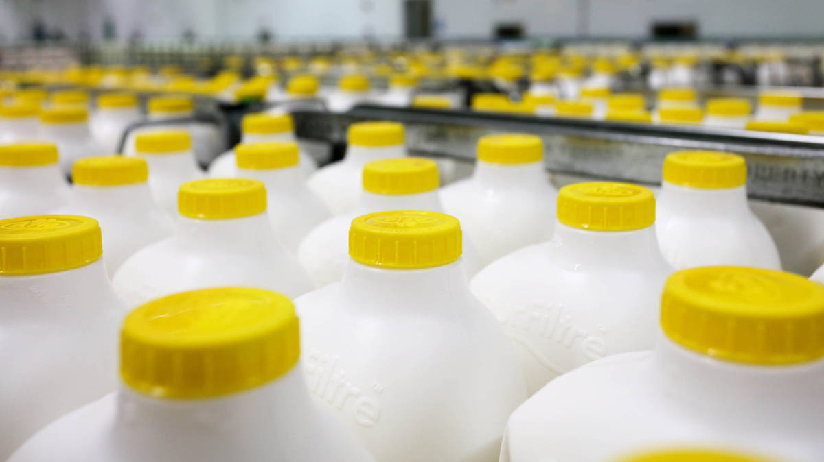 Shoppers trading brands for own-label milk and dairy, Arla Foods says | LBC