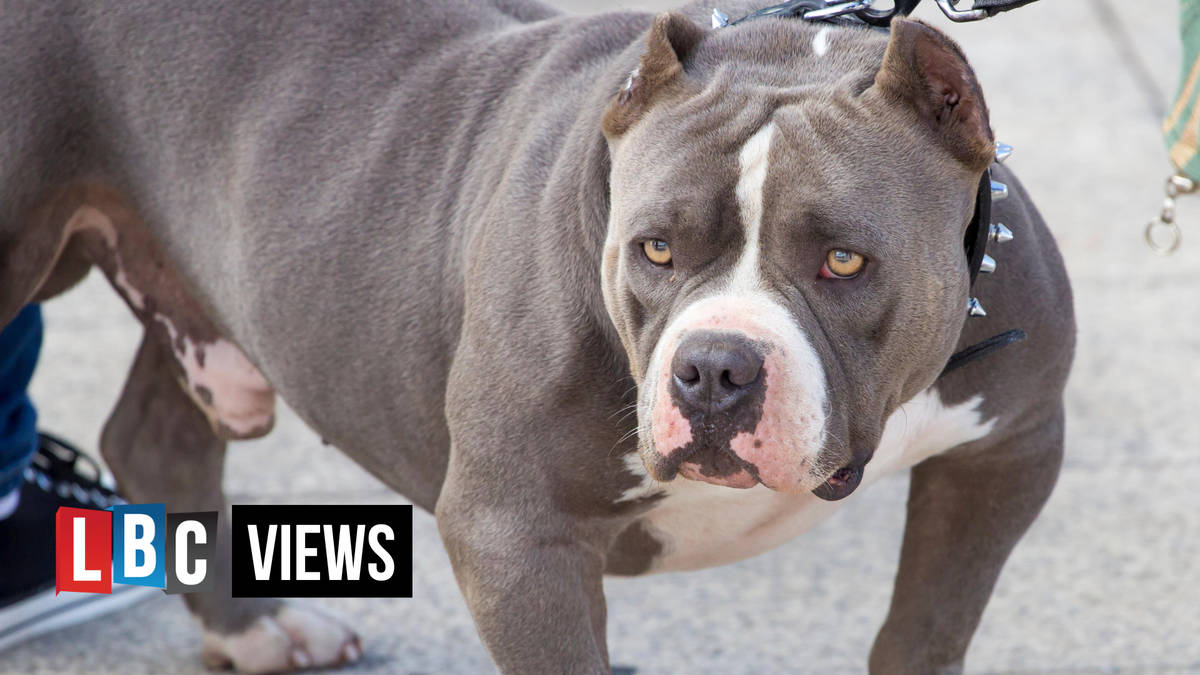 'These vile creatures should have been banned long ago,' Ben Kentish ...