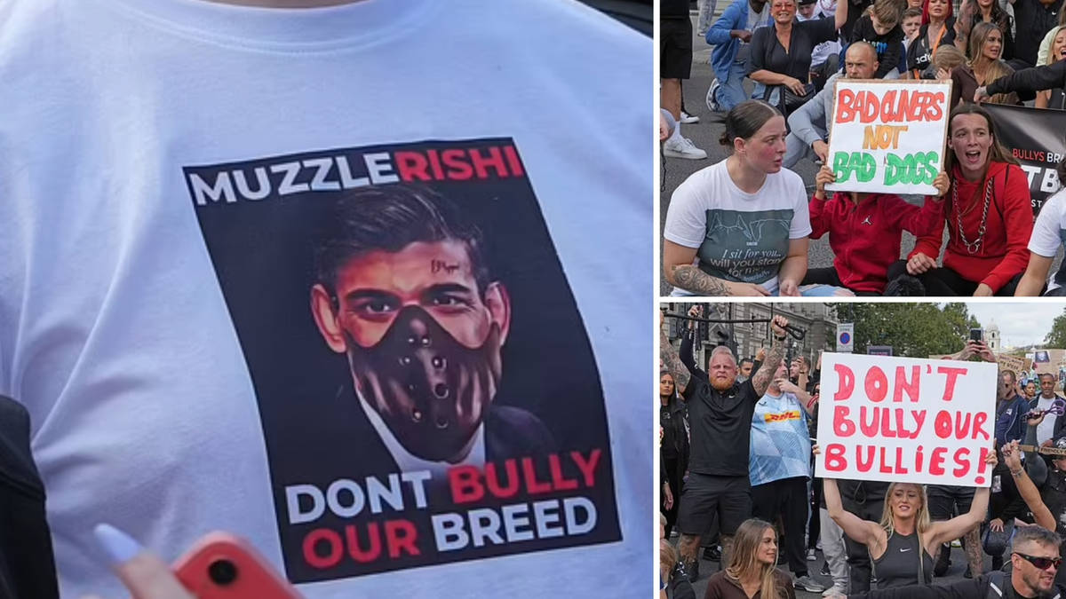 Thousands of XL Bully owners descend on London to protest against ...