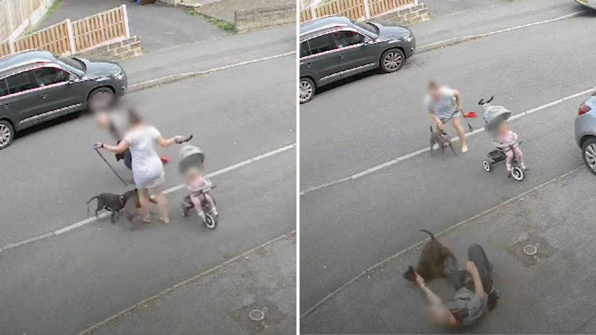 Shocking moment mother injured in dog attack as she desperately tries ...