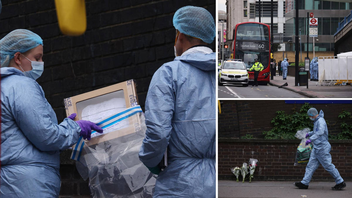 'Love note' found at Croydon stabbing scene after girl, 15, killed when ...