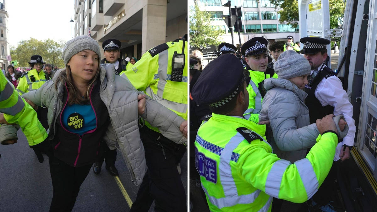 Greta Thunberg arrested and dragged into van by police after giving ...