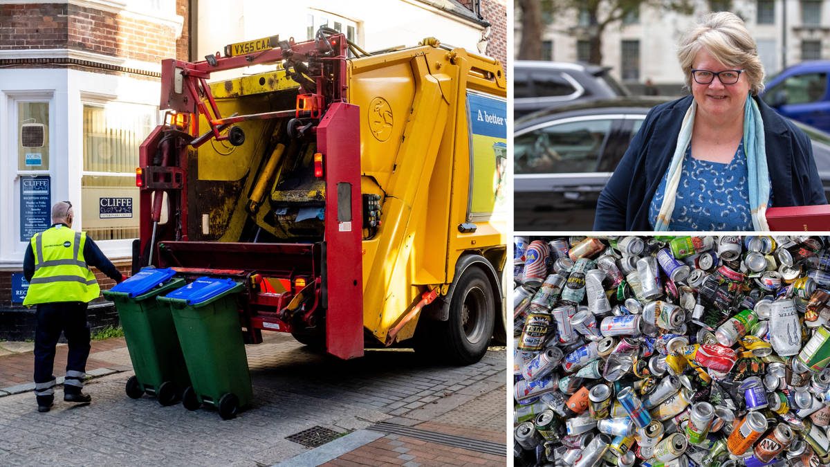 What do the new bin rules mean for me? Everything you need to know ...