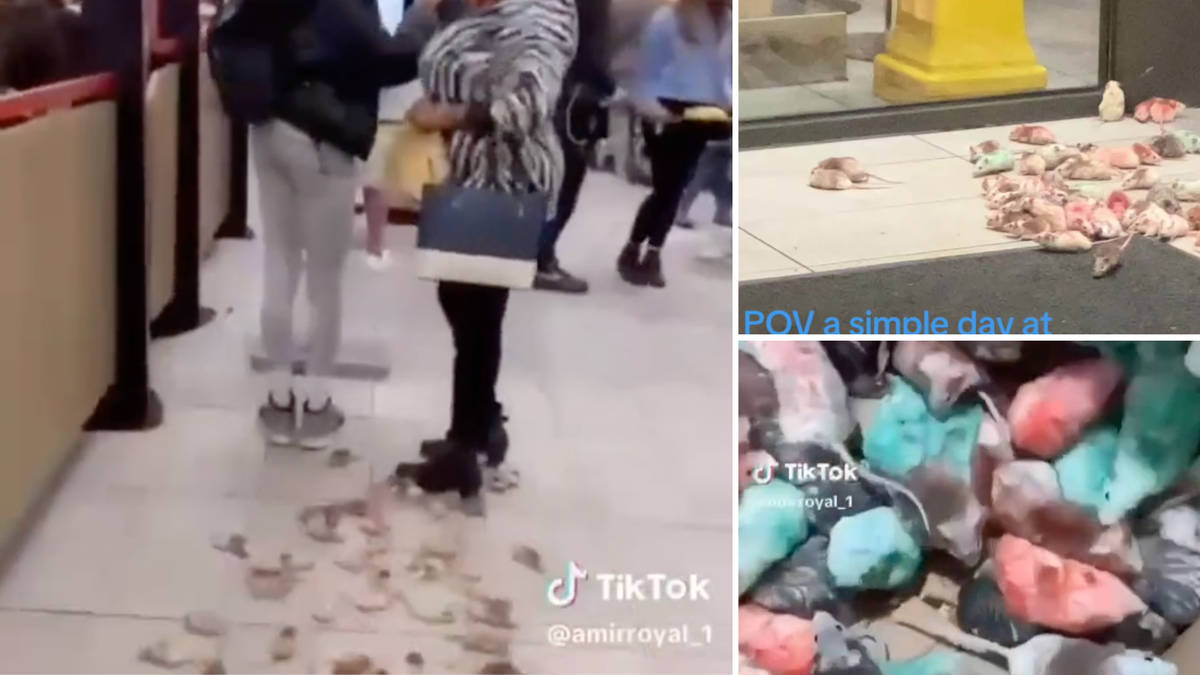 McDonald's targeted by pro-Palestinian activist as dozens of rats let ...