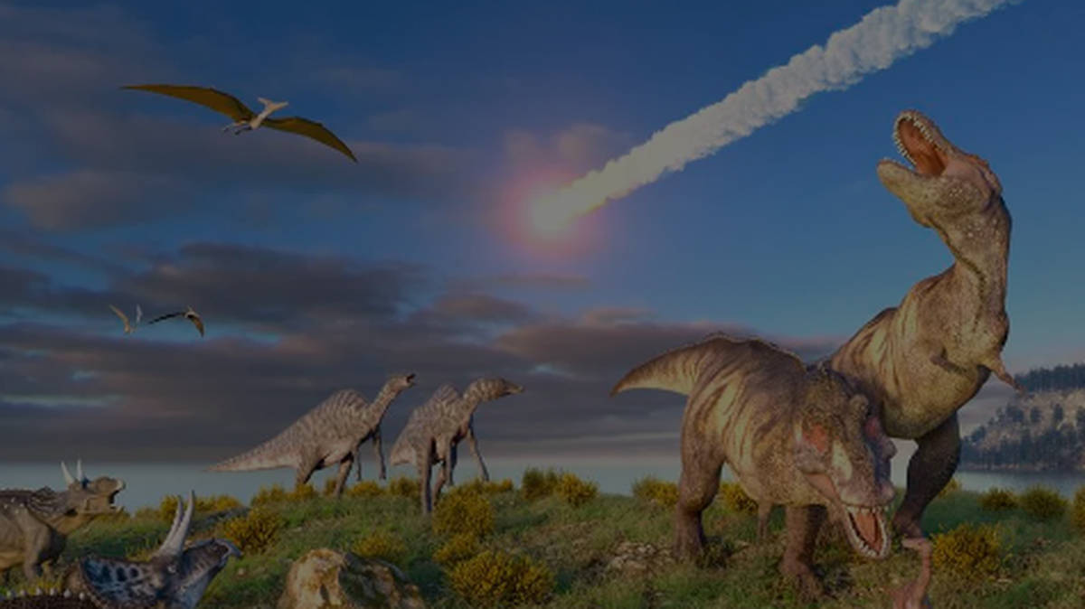 What killed the dinosaurs? Scientists reveal what caused the ...