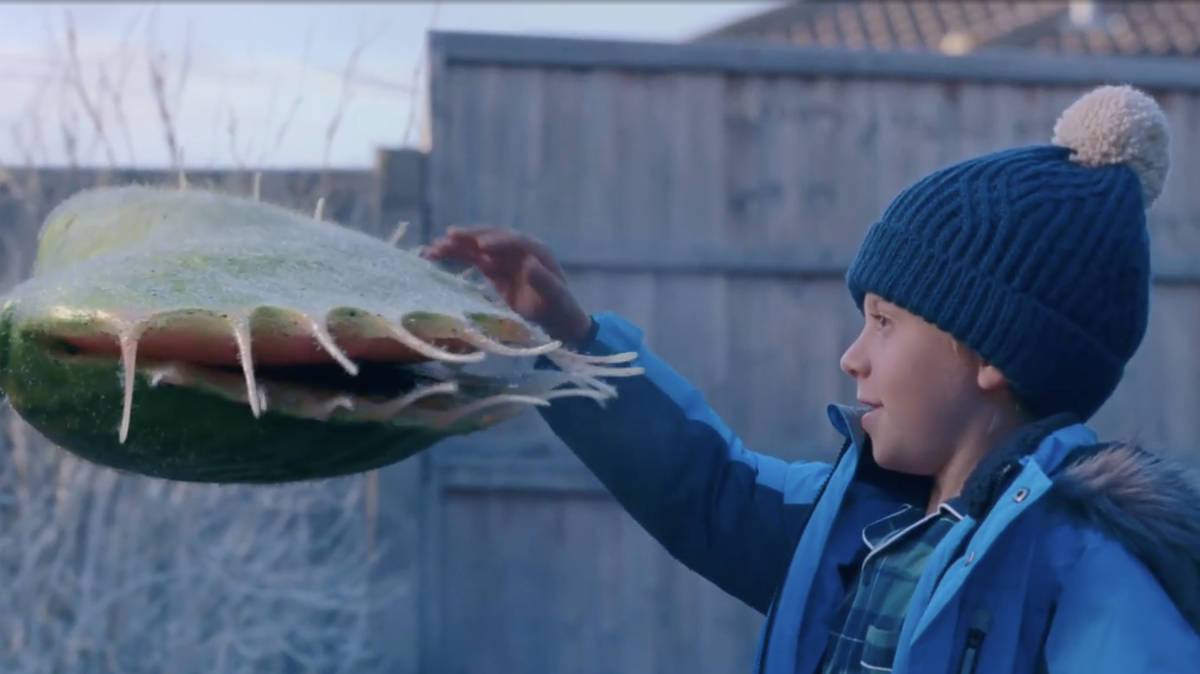 John Lewis Christmas ad: Retailer tells the story of 'Snapper' the ...
