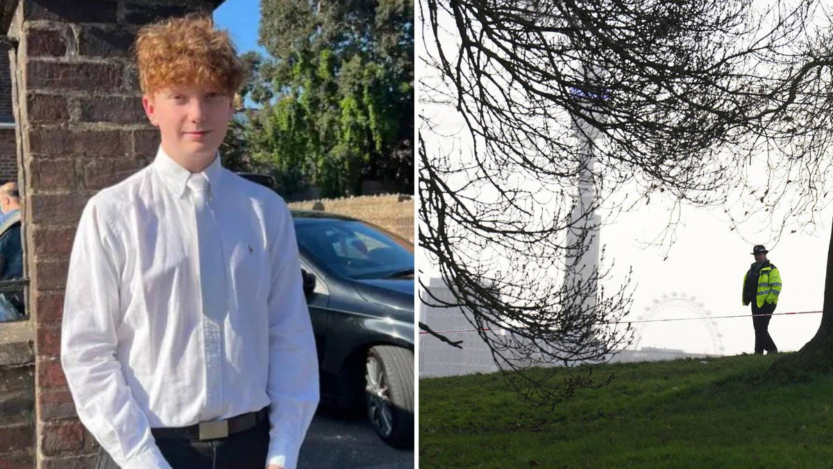 Boy, 16, stabbed to death at London's Primrose Hill on New Year's Eve ...