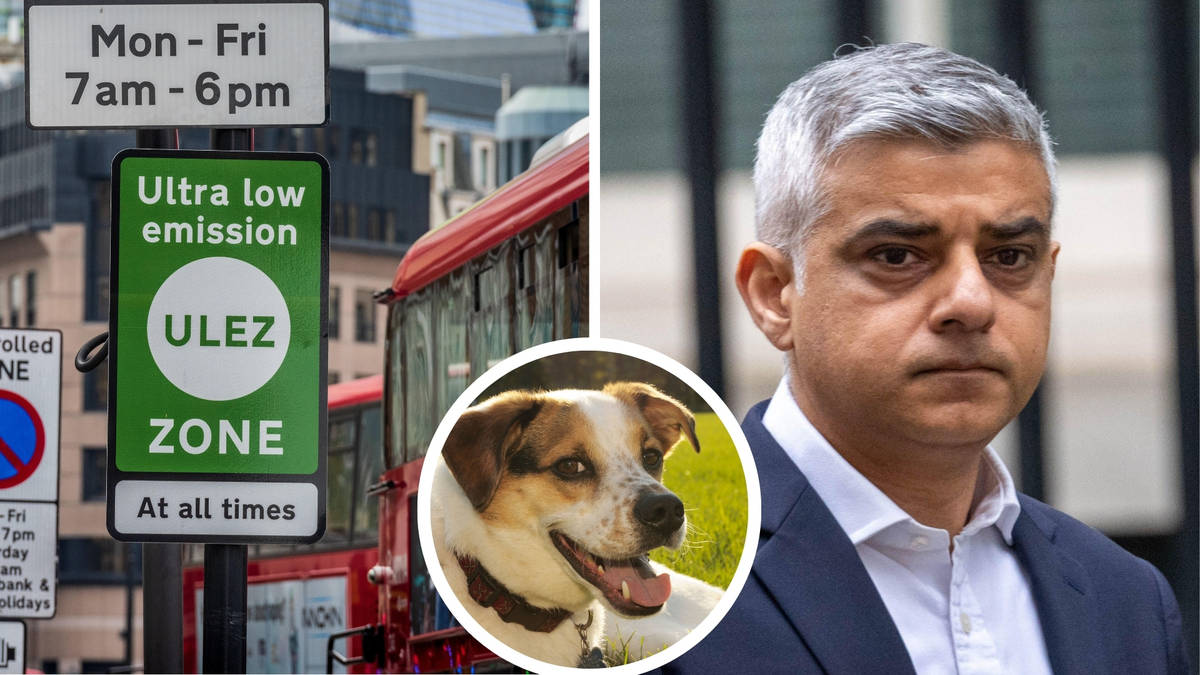 Motorcyclist says dog ate ULEZ letters leaving him thousands of pounds ...