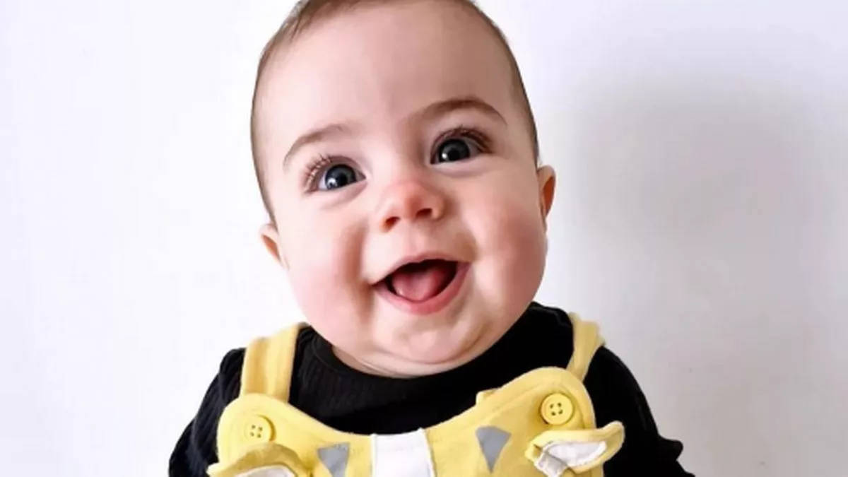 Pictured: Baby girl mauled to death in Coventry dog attack at family ...