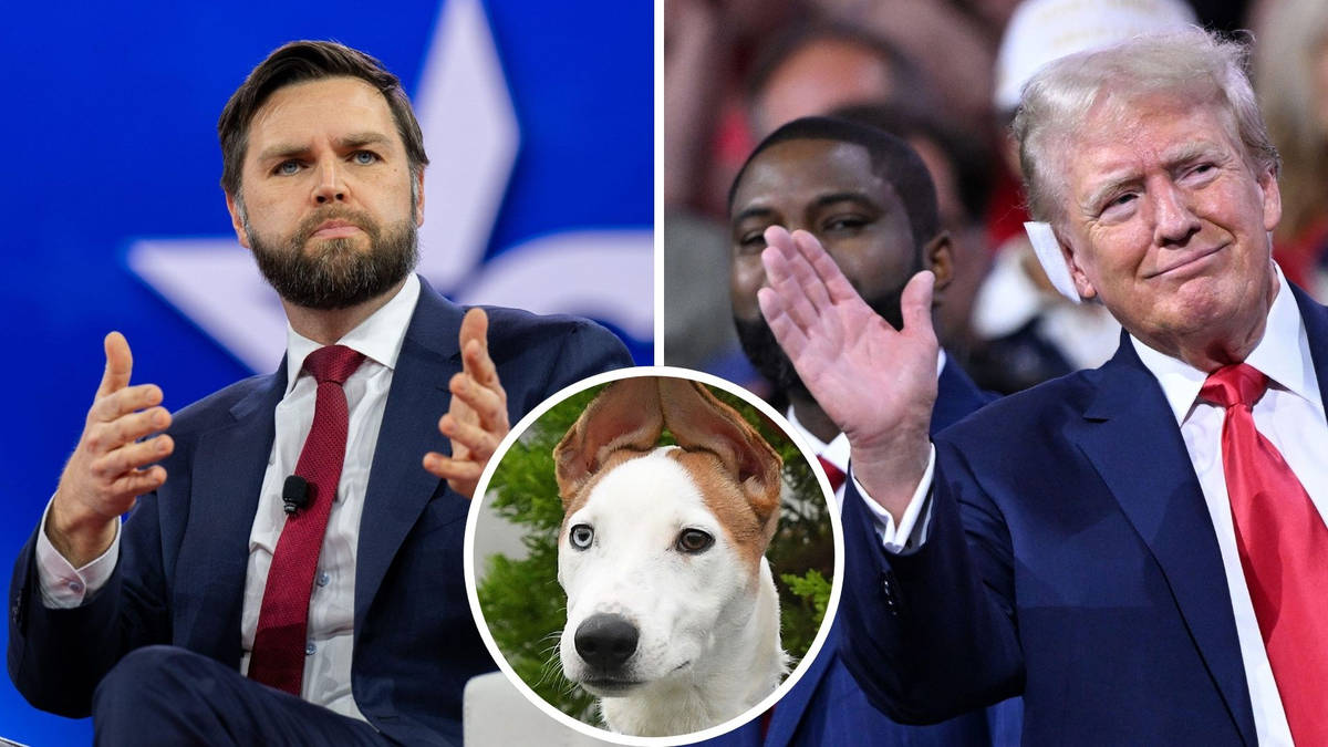 JD Vance 'created' story about migrants eating pet cats and dogs spread ...