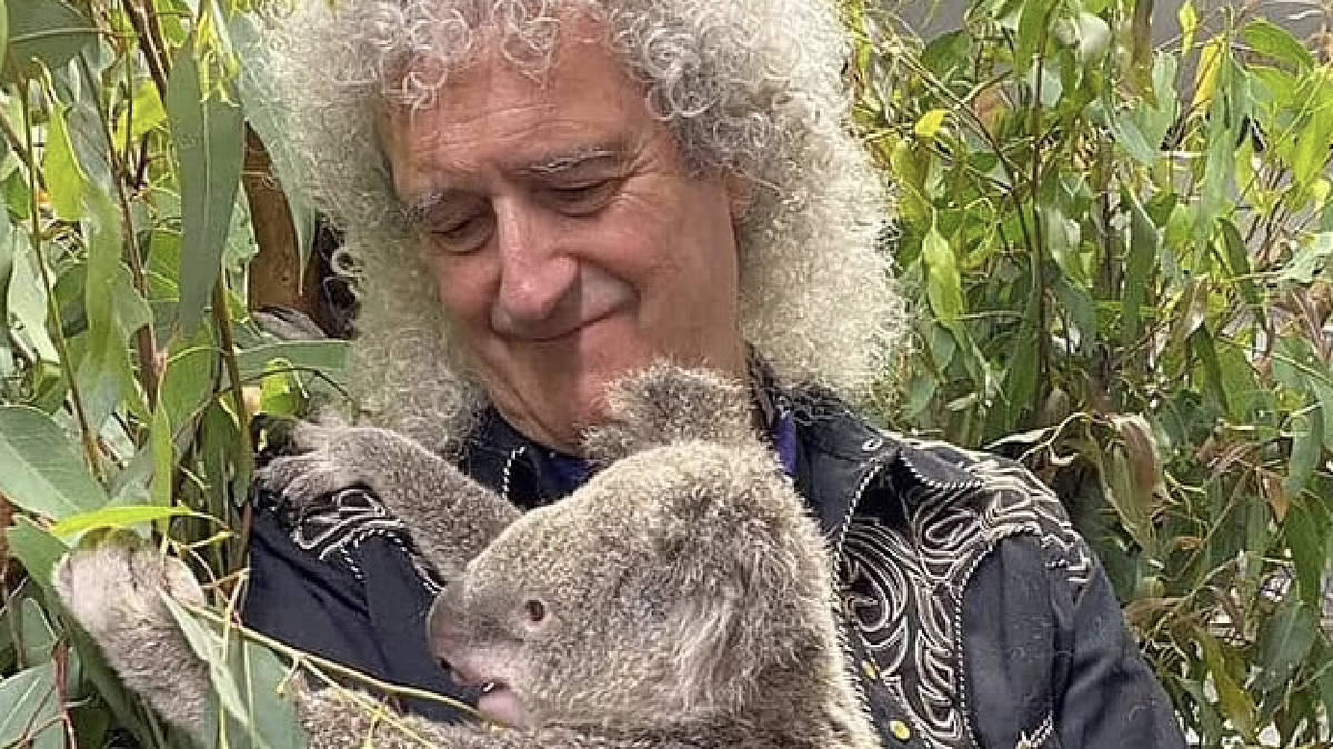 Sir Brian May resigns from RSPCA in protest amid allegations of ...