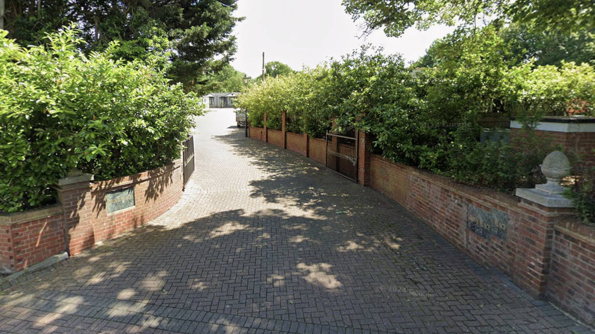 Child dies after being hit by tree branch in Surrey, police say | LBC