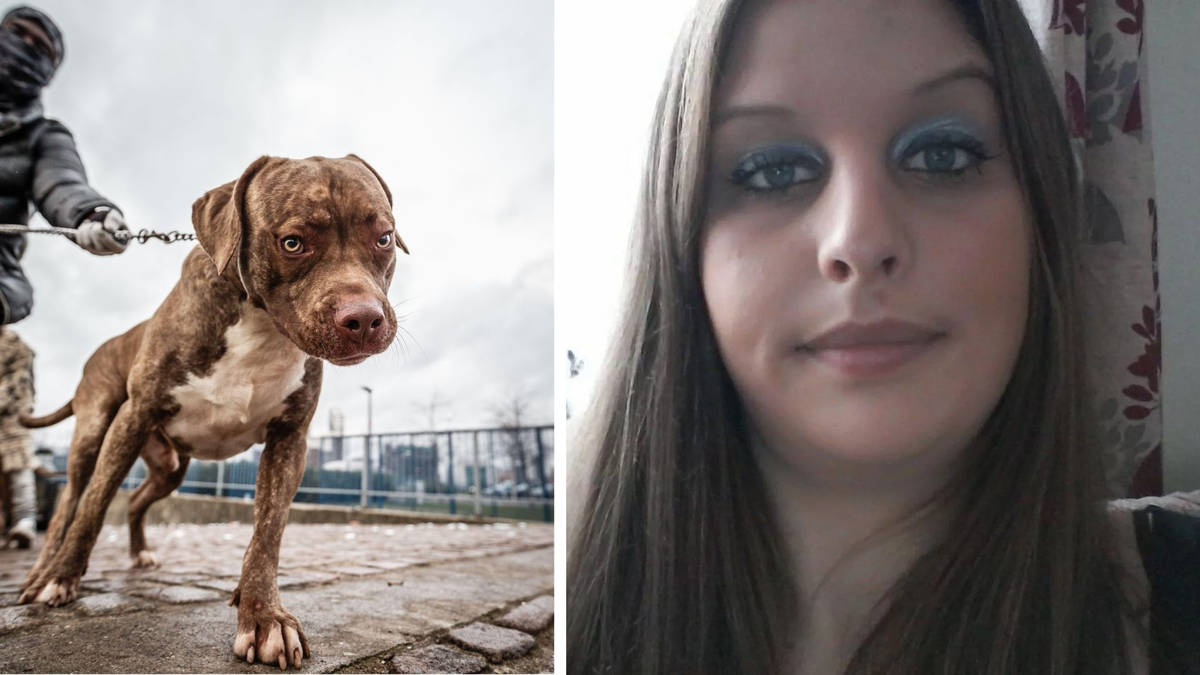 Stratford deadly dog attack victim named after being savaged by ...