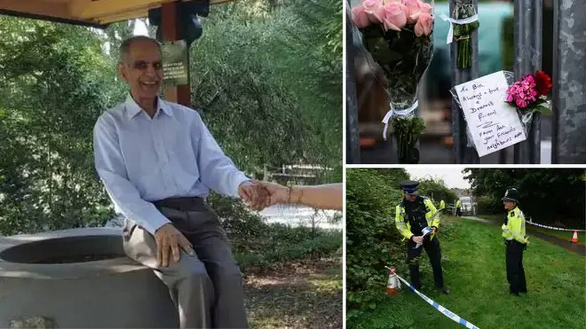 Teen sentenced to seven years for killing elderly dog walker as girl ...