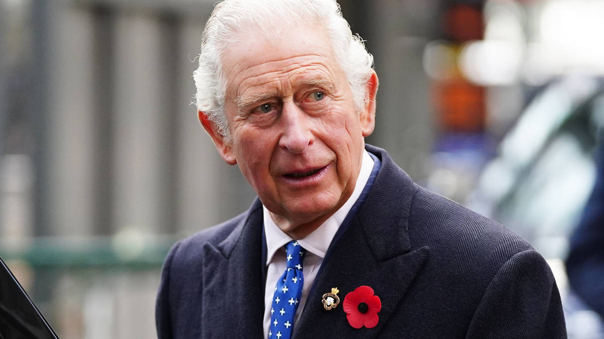 King forced to cancel royal engagements as he is hospitalised after ...