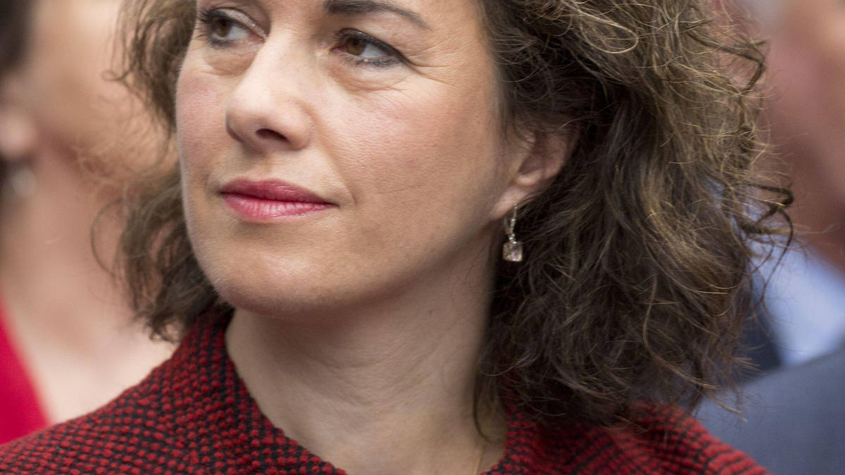 Rotherham MP backs calls for national grooming gang inquiry into ...