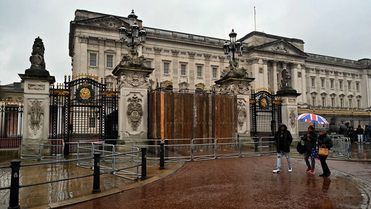 Man who crashed car into Buckingham Palace gates admits causing £24,000 ...