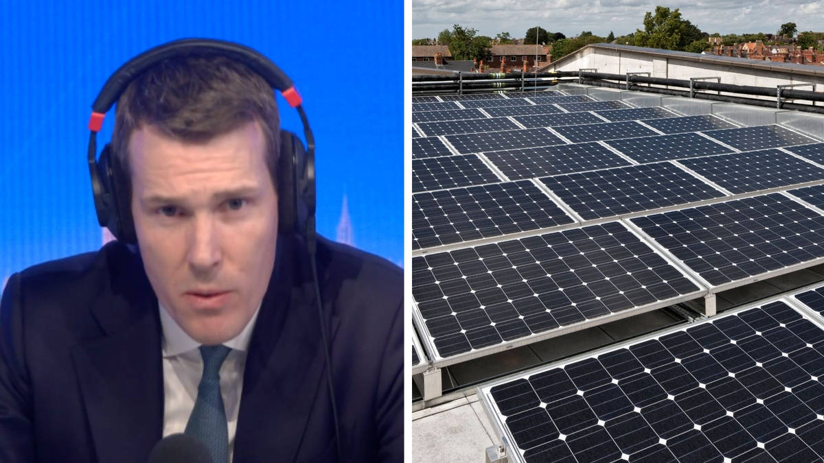Government 'laser focused' on not buying solar panels from companies ...