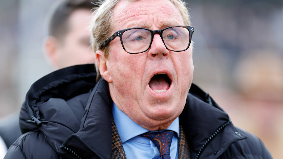 Harry Redknapp appears to make Nazi salute after calling England ...