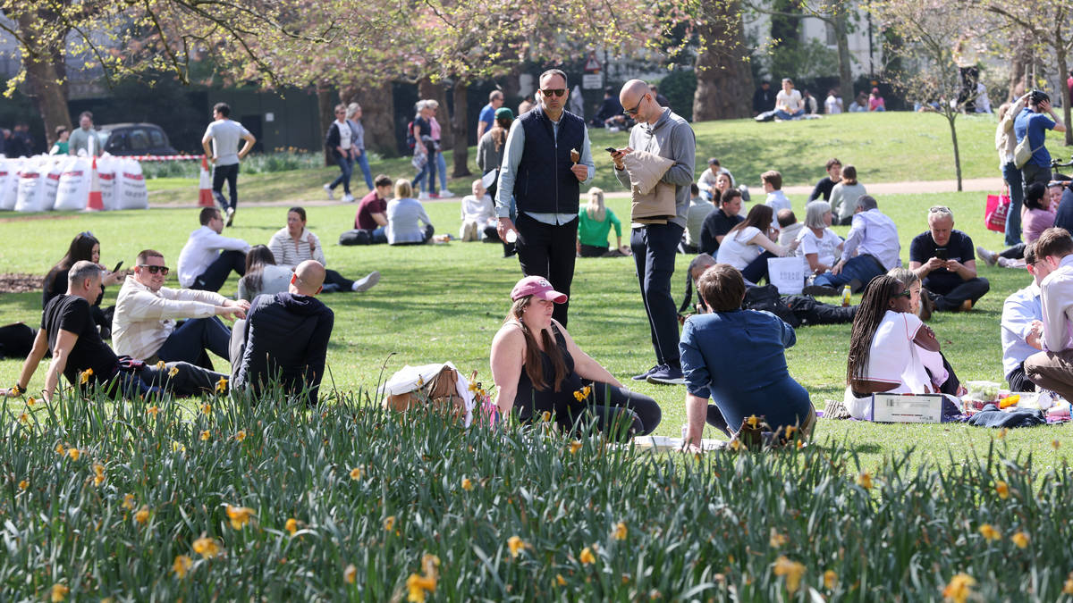 'Pollen bomb' warning as hay fever red alert issued by Met Office | LBC
