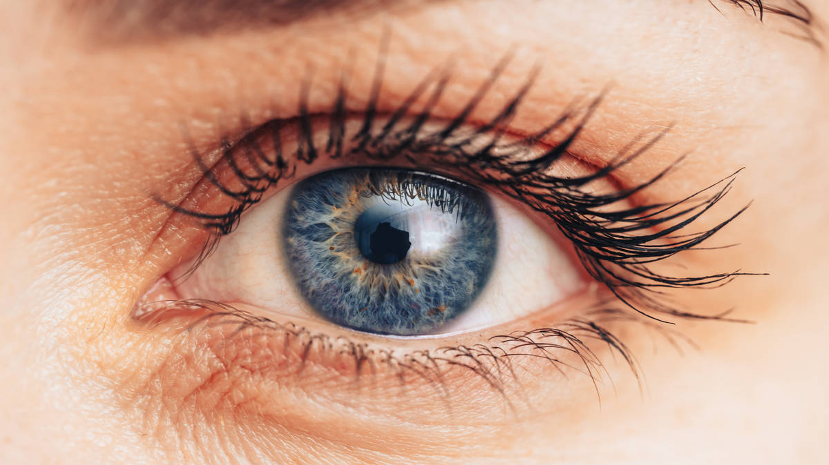 Scientists say they have discovered a 'new colour' never seen before by ...