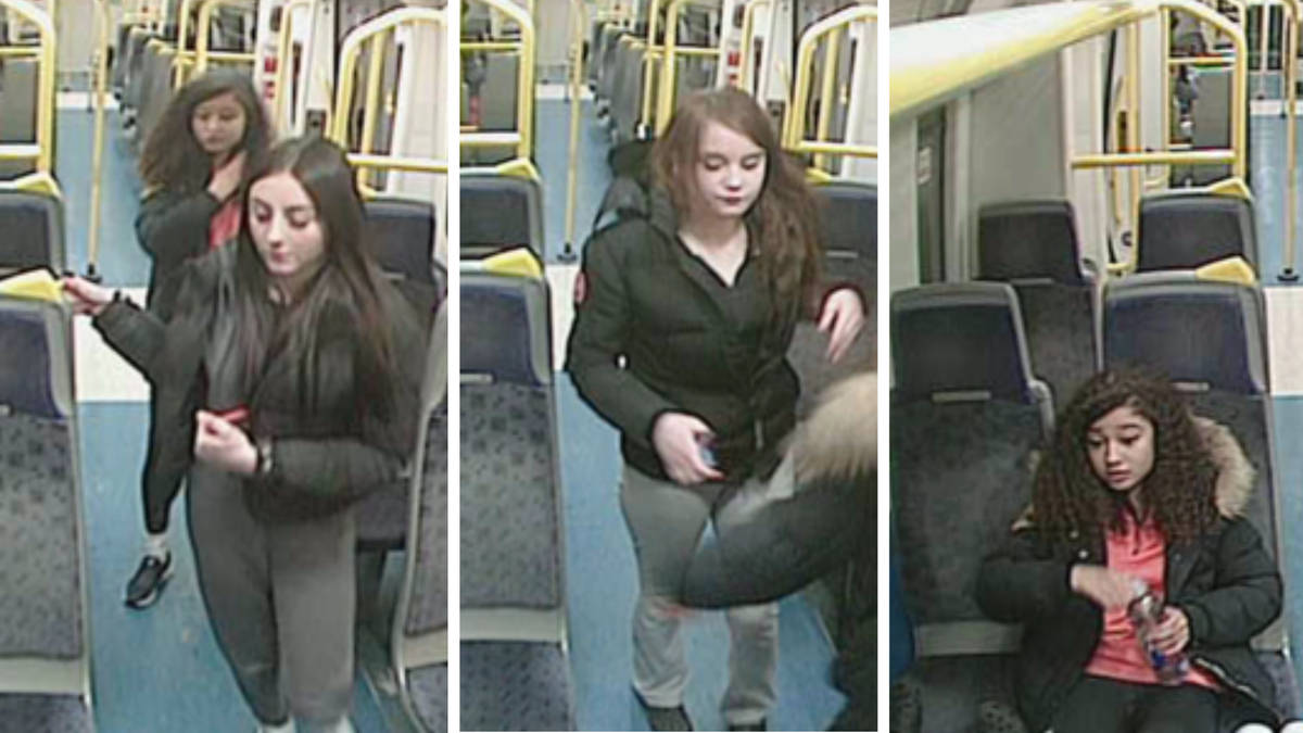 Hunt for gang of girls after elderly woman and 'vulnerable' man beaten ...