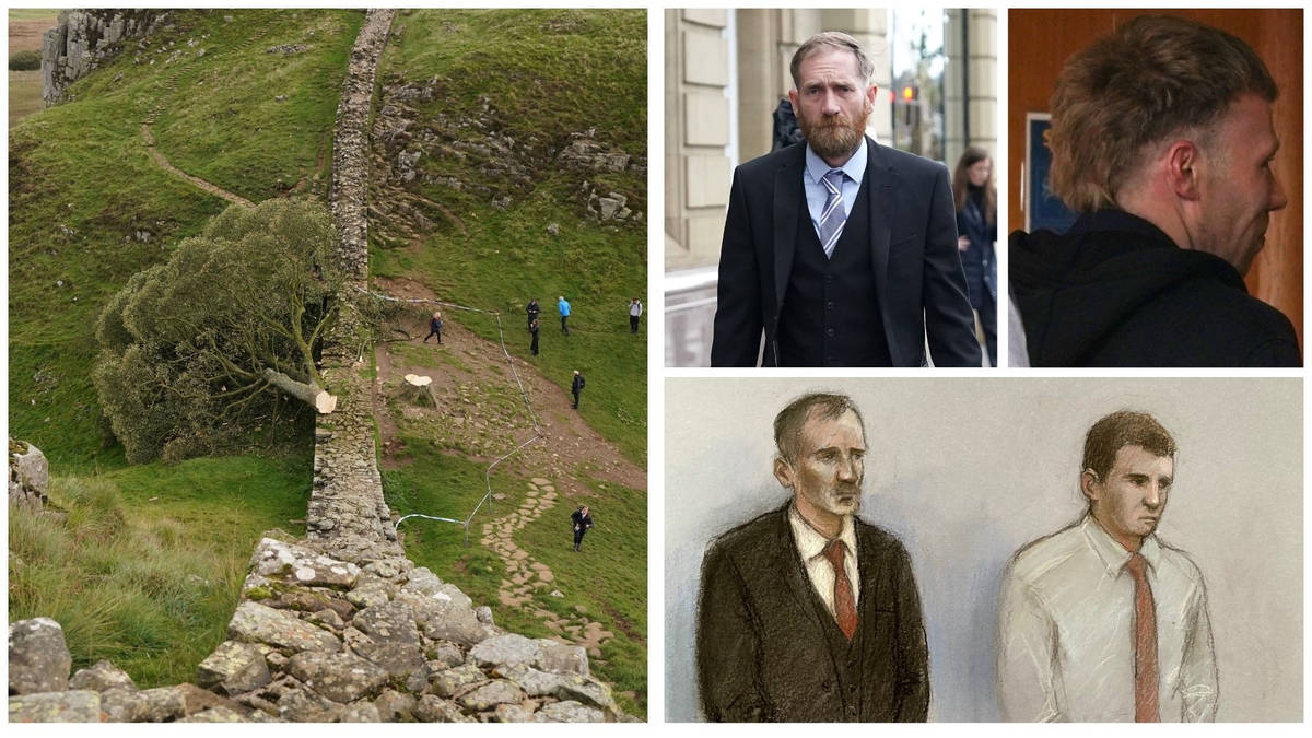 Pair accused of 'moronic mission' to fell Sycamore Gap tree filmed themselves, court hears | LBC