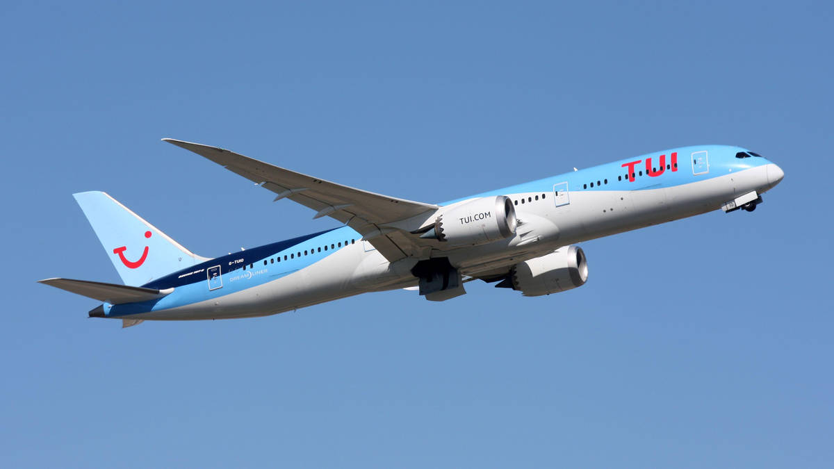 Man wrestled off TUI flight at Gatwick after breaching security and ...